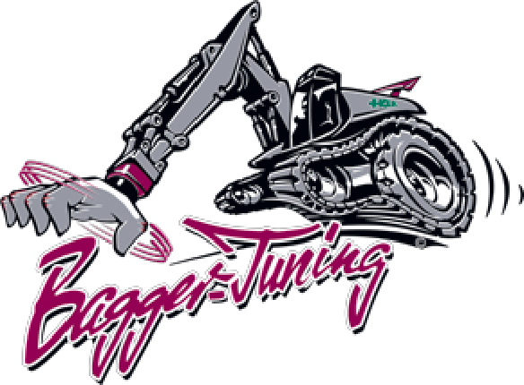 Holp Bagger-Tuning Shop
